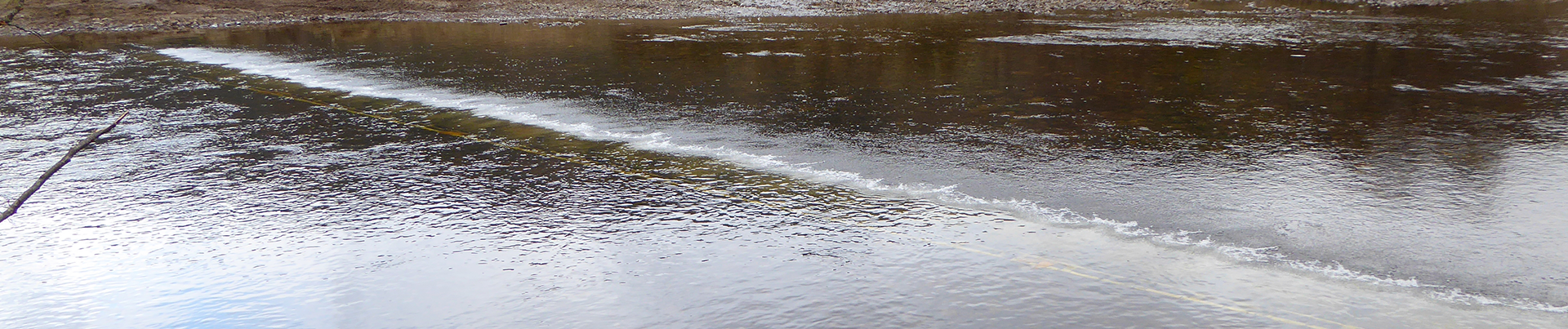 BAFF System | Fish Guidance Systems